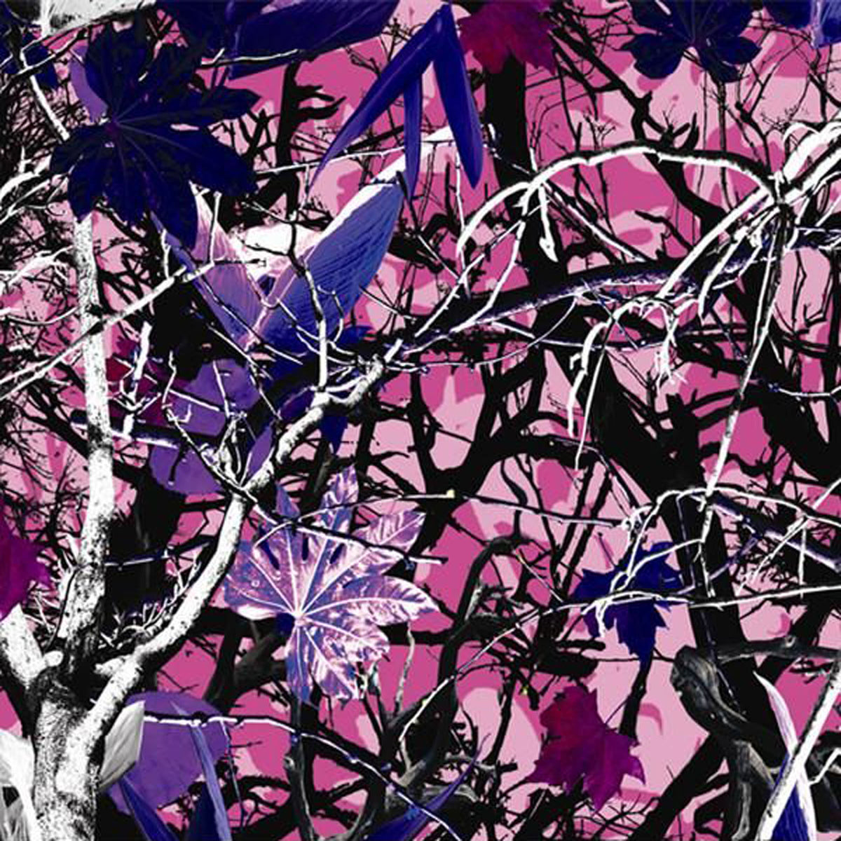 Muddy Pink | Hydrographic Film | OHW Paint Co.™